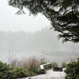 Lily and Lizard Lakes Loop Trail, Washington - 830 Reviews, Map | AllTrails