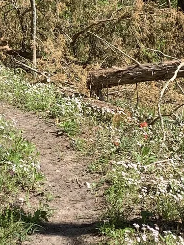 Best Hikes and Trails in Gunner Pool Recreation Area | AllTrails