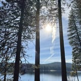 Jenkinson Lake Loop, California - 2,450 Reviews, Map | AllTrails