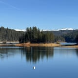 Jenkinson Lake Loop, California - 2,450 Reviews, Map | AllTrails