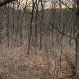 Interloken Trail to Blueberry Patch Campground, New York - 105 Reviews ...