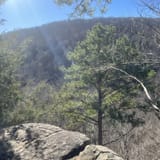 Whitaker Point Trail (Hawksbill Crag), Arkansas - 3,649 Reviews, Map ...