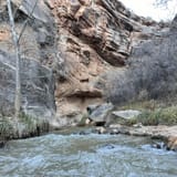 Checkerboard Mesa Canyon Trail, Utah - 197 Reviews, Map | AllTrails