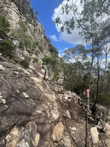 Best Hikes and Trails in Mount Walsh National Park | AllTrails