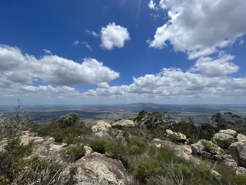 Best Hikes and Trails in Mount Walsh National Park | AllTrails