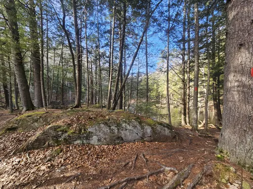 Best Hikes and Trails in Pulpit Rock Conservation Area | AllTrails