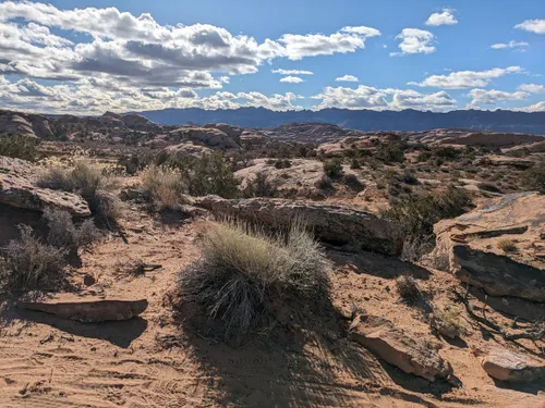 10 Best Hikes and Trails in Sand Flats Recreation Area | AllTrails