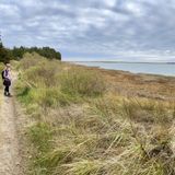 Nauset Marsh and Nauset Bike Trail , Massachusetts - 868 Reviews, Map ...