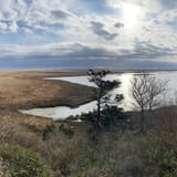 Nauset Marsh and Nauset Bike Trail , Massachusetts - 949 Reviews, Map ...