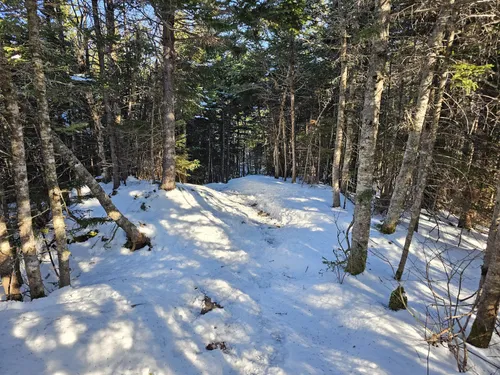 Best Hikes and Trails in Pinkham Notch Scenic Area | AllTrails