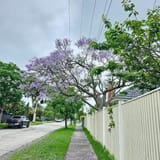 Edithvale Seaford Wetlands Loop, Victoria, Australia - 55 Reviews, Map ...