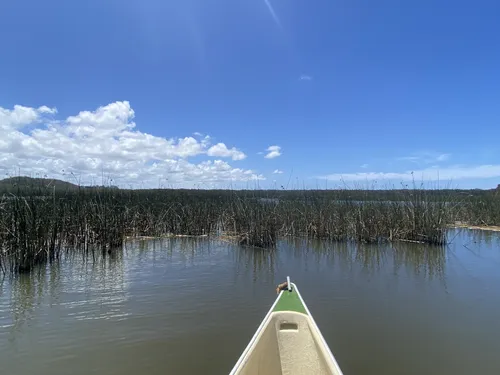 Best Hikes and Trails in Cudgen Nature Reserve | AllTrails