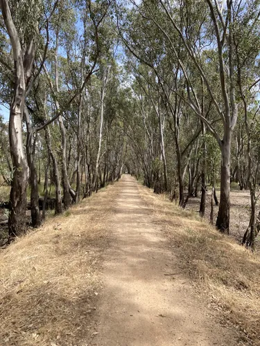 Best Hikes and Trails in Axedale | AllTrails