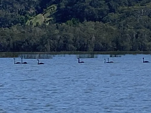 Best Hikes and Trails in Cudgen Nature Reserve | AllTrails