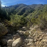 Inspiration Point, California - 3,842 Reviews, Map | AllTrails