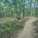 Cherokee Park Loop, Kentucky - 1,649 Reviews, Map | AllTrails