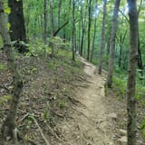 Cherokee Park Loop, Kentucky - 1,649 Reviews, Map | AllTrails