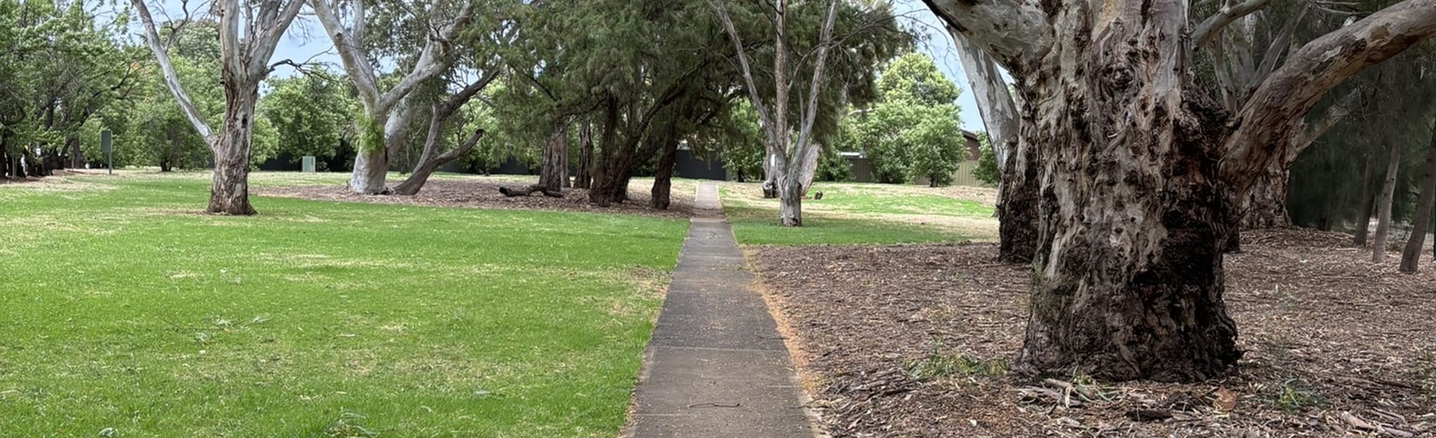 Sturt River Linear Park Trail, South Australia, Australia - 57 Reviews ...