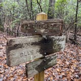 Appalachian Trail: Dicks Creek Gap to Bly Gap Camp, Georgia - 401 ...