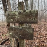 Appalachian Trail: Dicks Creek Gap to Bly Gap Camp, Georgia - 401 ...