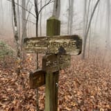 Appalachian Trail: Dicks Creek Gap to Bly Gap Camp, Georgia - 401 ...