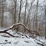 Balsam Lake Mountain via Dry Brook Ridge Trail, New York - 950 Reviews ...