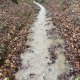 The Hurtwood and Winterfold Hill, Surrey, England - 63 Reviews, Map ...