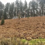 The Hurtwood and Winterfold Hill, Surrey, England - 63 Reviews, Map ...