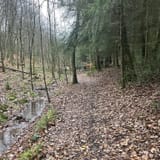 The Hurtwood and Winterfold Hill, Surrey, England - 62 Reviews, Map ...