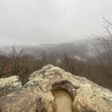 Windrock OHV Trail, Tennessee - 48 Reviews, Map | AllTrails