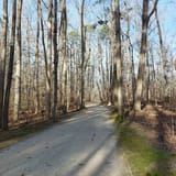 Cedar Ridge Trail Loop, North Carolina - 653 Reviews, Map | AllTrails