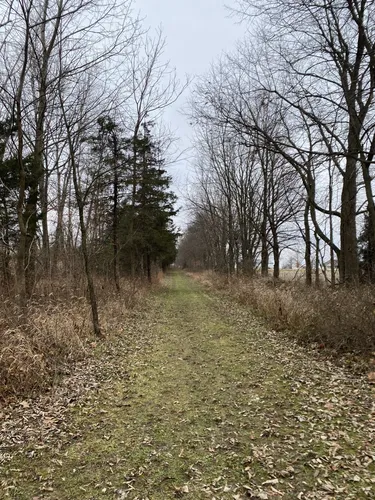 Best Trail Running Trails in Camp Cullom | AllTrails