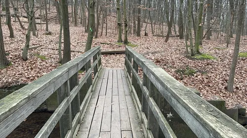 Best Hikes and Trails in Flat Rock Brook Nature Center | AllTrails