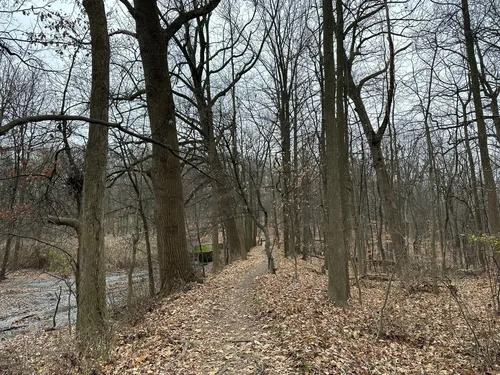 Best Hikes and Trails in Flat Rock Brook Nature Center | AllTrails