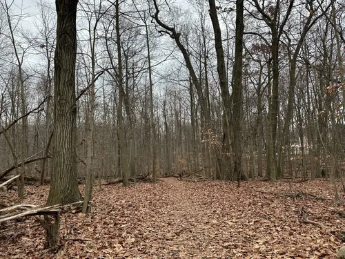 Best Hikes and Trails in Flat Rock Brook Nature Center | AllTrails