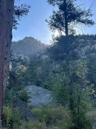 Best Hikes and Trails in H.B. Wallace Reserve | AllTrails