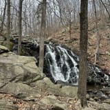 Ramapo Reservation Loop Trail, New Jersey - 1,677 Reviews, Map | AllTrails