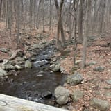 Ramapo Reservation Loop Trail, New Jersey - 1,677 Reviews, Map | AllTrails