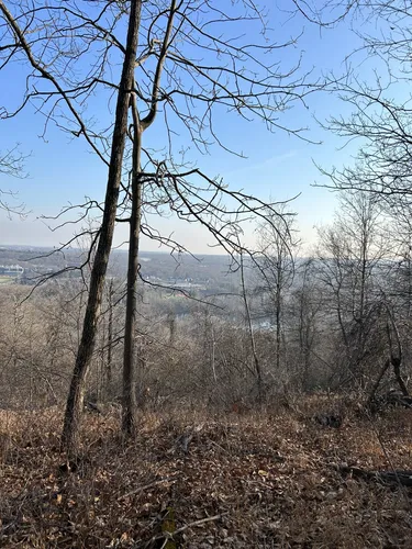 Best Moderate Trails in Mahwah | AllTrails