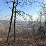Ramapo Reservation Loop Trail, New Jersey - 1,677 Reviews, Map | AllTrails