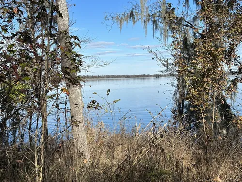 Best Hikes and Trails in Three Rivers State Park | AllTrails