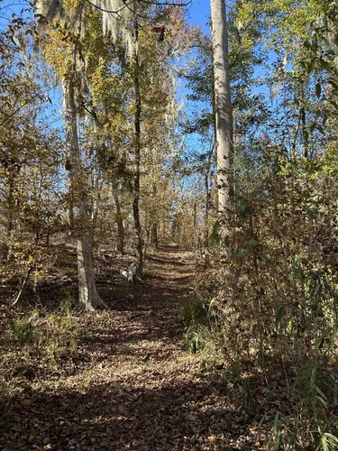 Best Hikes and Trails in Three Rivers State Park | AllTrails