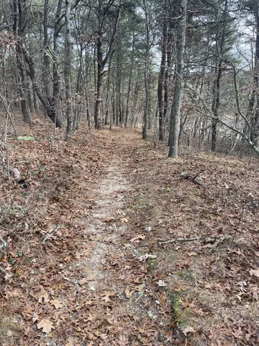 Best Hikes and Trails in Red Brook Pond Conservation Area | AllTrails