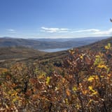 Solamere Loop, Utah - 637 Reviews, Map | AllTrails