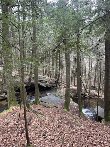 Best Hikes and Trails in Buffam Falls Conservation Area | AllTrails