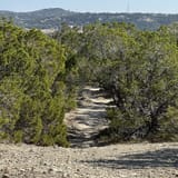 Pace Bend Park Trail, Texas - 606 Reviews, Map | AllTrails