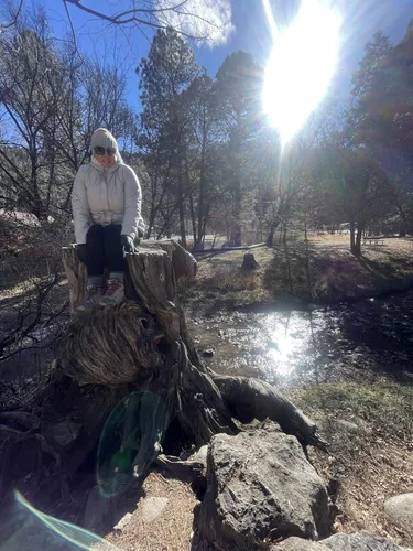 Best Hikes and Trails in Two Rivers Park | AllTrails