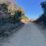 Powder Canyon Loop Trail, California - 2,341 Reviews, Map | AllTrails