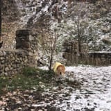 Memory Grove Trail, Utah - 1,309 Reviews, Map | AllTrails