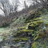 Old Flume Trail (Red Shack Trail), California - 778 Reviews, Map ...